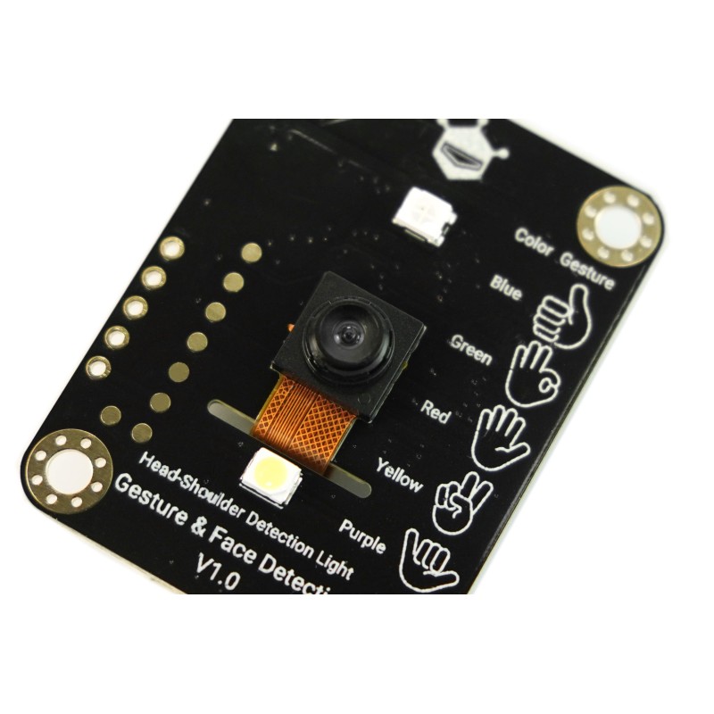 Gravity: Offline Edge AI Gesture & Face Detection - AI module for gesture and face detection ...