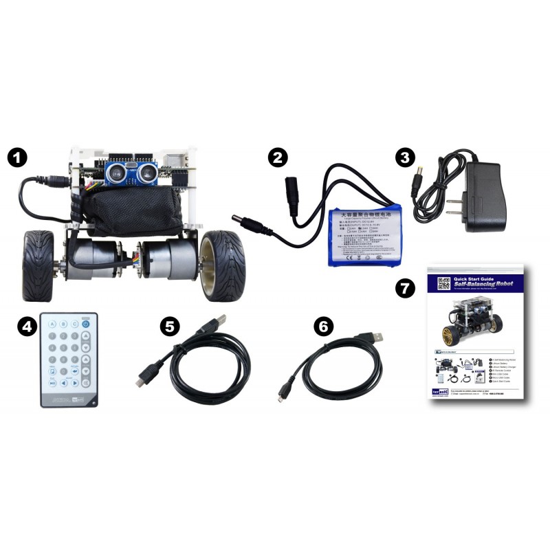 A set with a Terasic balancing robot - Kamami on-line store