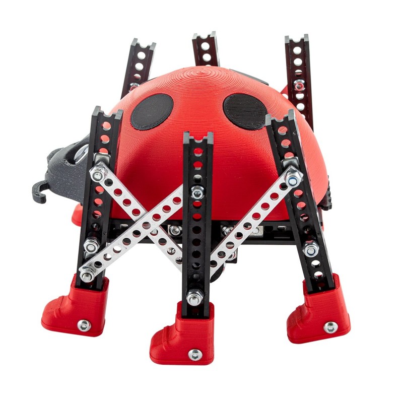 Totem Ladybug - zestaw do budowy 6-nożnego robota kroczącego - sklep Kamami
