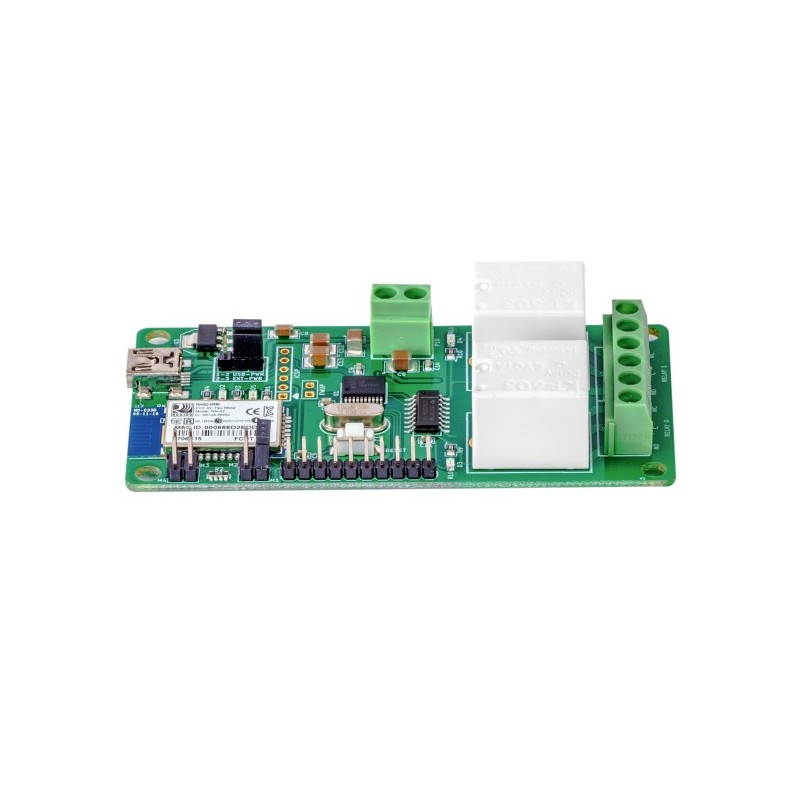 2 Channel Bluetooth Relay Module - module with 2 12V relays and ...