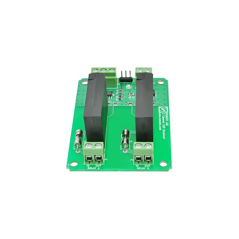 2 Channel Solid State Relay Controller Board - module with 2 SSR DC ...